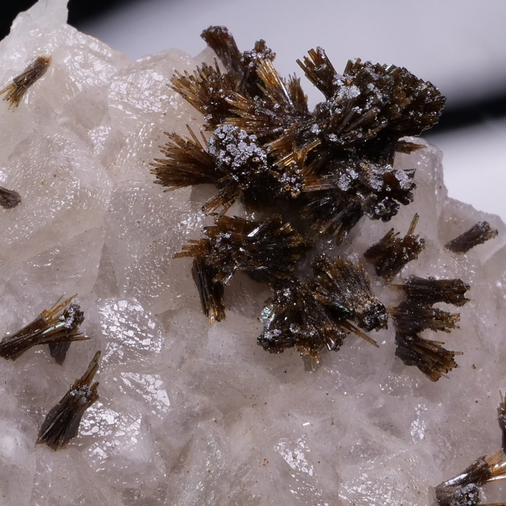 VANADINITE var. ENDLICHITE - Erupcion Mine, Los Lamentos, Mexico - SZ ...