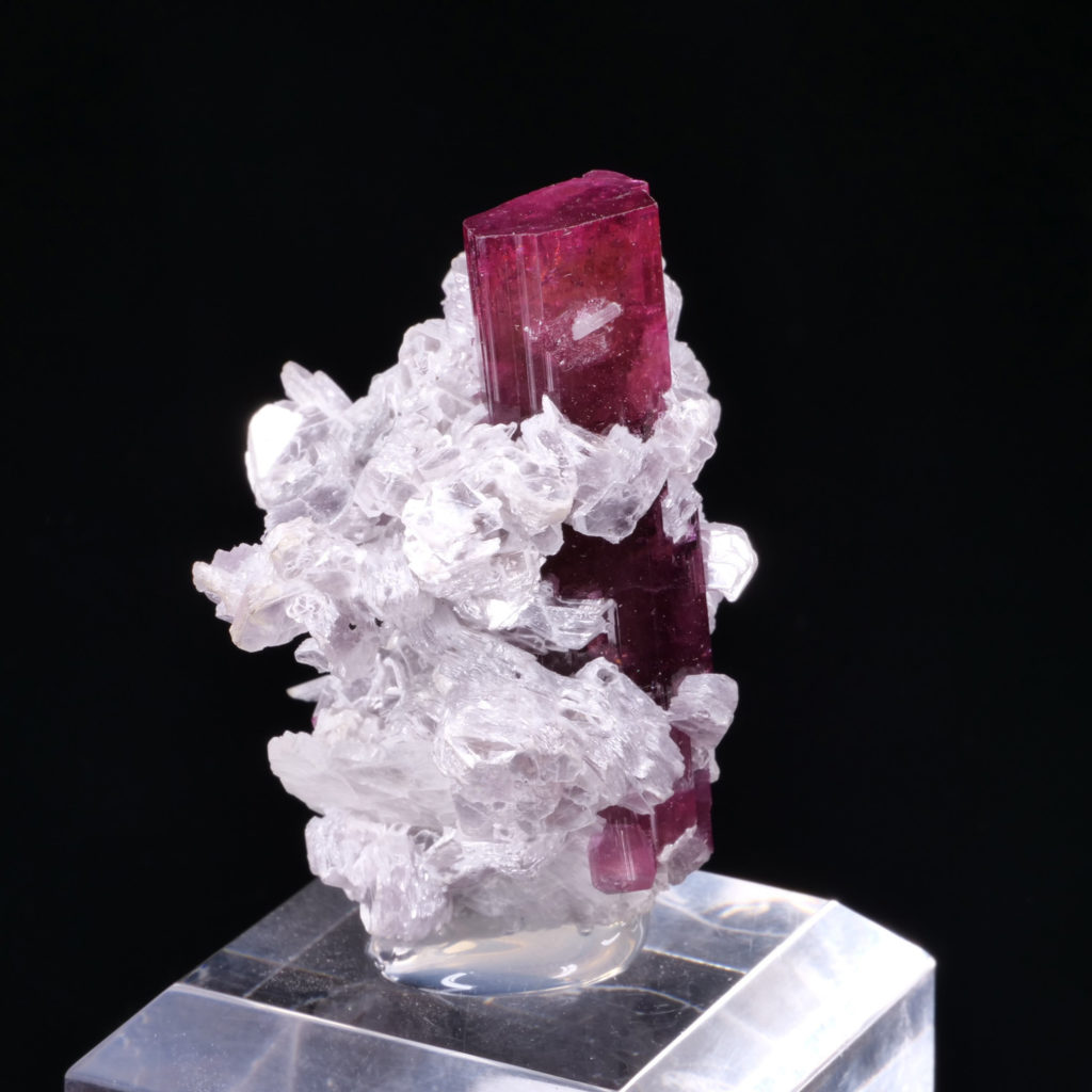TOURMALINE var. RUBELLITE and MUSCOVITE - Jonas Mine, Brazil - SZ MINERAUX